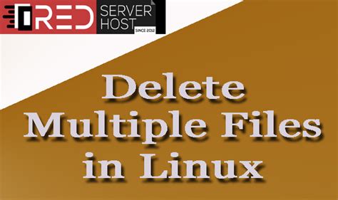 how to delete multiple files in linux secret revealed of offshore hosting company