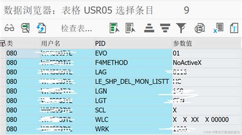 SAP ABAP获取SAP账号User Profile里的参数值 abap系统参数获取 CSDN博客
