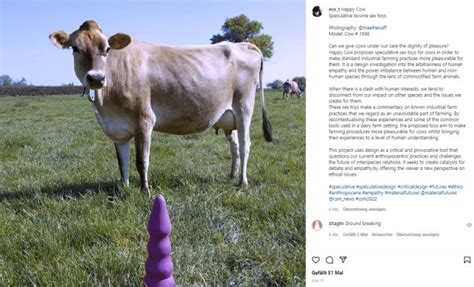 Britische Designerin Entwirft Sex Toys Für Kühe