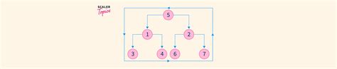 Boundary Traversal Of Binary Tree Scaler Topics