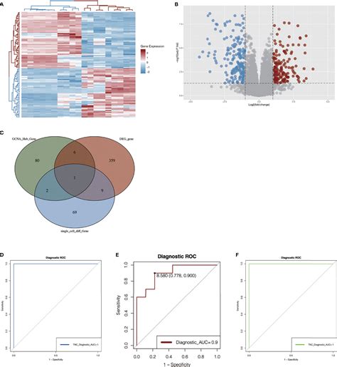 Frontiers Single Cell Sequencing Analysis And Weighted Co Expression