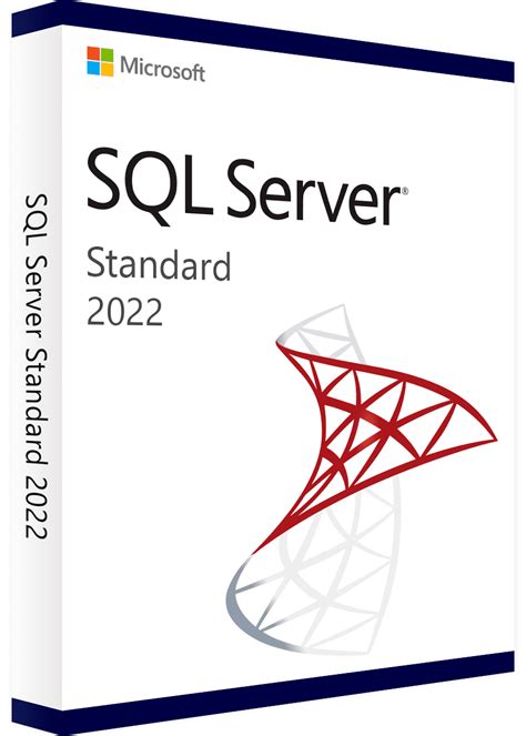 Buy SQL Server 2022 Standard Global CD Key Instant Delivery