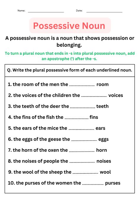 Possessive Nouns Worksheets With Answers Digital And Printable For