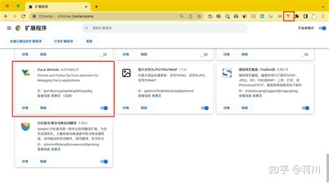 vue devtools 使用指南 如何安装和使用 vue devtools 调试 vue 组件 知乎
