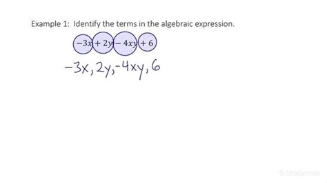 identifying terms in an algebraic expression math