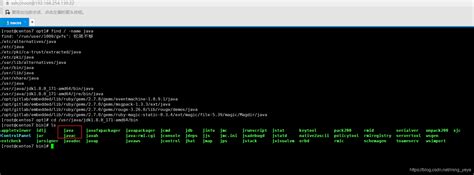 在linux虚拟机中进行jdk1 8的安装与环境变量的配置 csdn博客