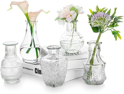 Glasseam Small Glass Flower Vase Vintage Mini Bud Sweet Pea Vases Set Of 5 Crystal Clear Rustic