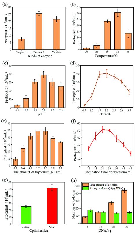 Optimization Of Conditions For Protoplast Preparation A Comparison