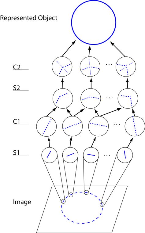 an illustration of the hierarchical model of object recognition download scientific diagram
