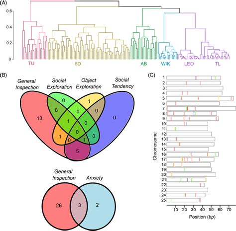 Genetic Clustering And Behavioral Associations A Hierarchical