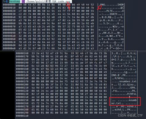 ctf misc 【buuctf】 杂项——二维码code misc 二维码十六进制格式 csdn博客
