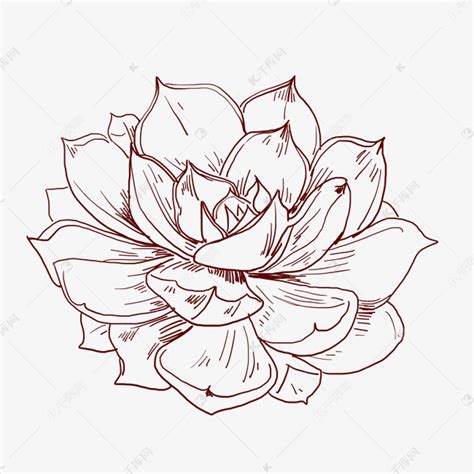 手绘线描莲花插画素材图片免费下载 千库网