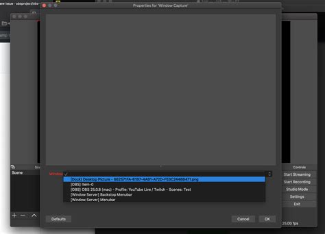 Using Obs Studio To Record Pj64 Footage Westernlalapa