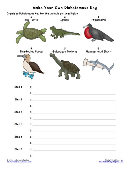Make A Dichotomous Key Online Free