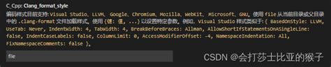 vscode使用之clang format代码格式化 the clang format command is not available pleas csdn博客
