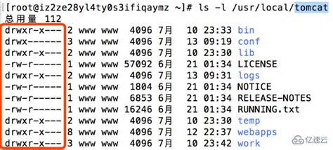 linux文件权限在哪里查看 建站服务器 亿速云