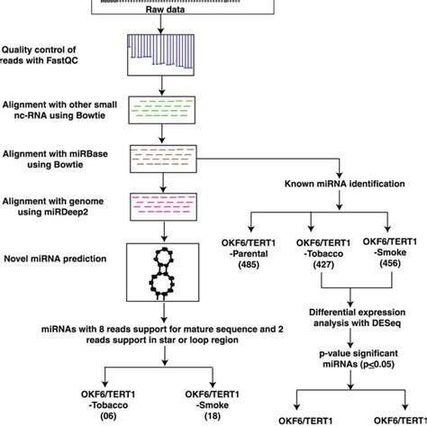 bioinformatics workflow pipeline depicting the analysis of download scientific diagram