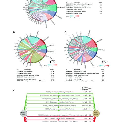 GO And KEGG Analyses Of The DEGs A Chord Diagrams Of The Biological