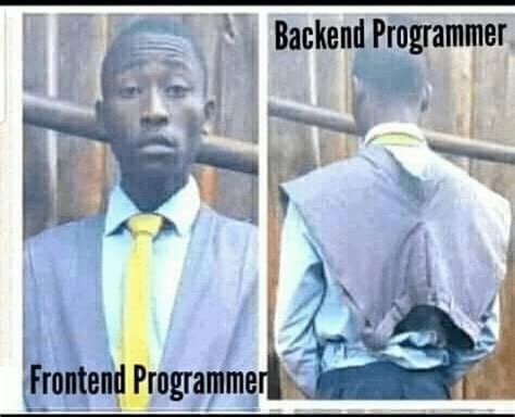 frontend vs backend programmer r programmerhumor