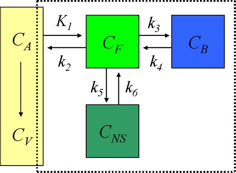 tpc compartmental models in positron emission tomography