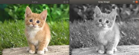 convert rgb image to grayscale by using opencv importer matlab c program bgr vrogue