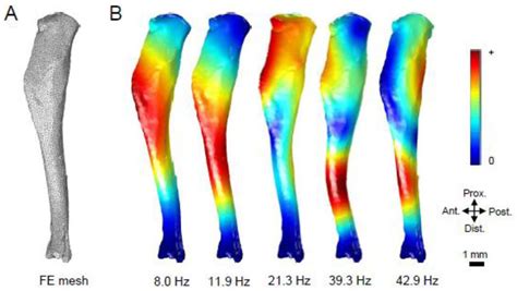 modal analysis using finite element methods to determine the resonant download scientific