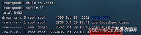 linux环境下的java（jdbc）连接opengauss数据库实践 知乎