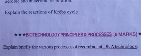 Explain The Reactions Of Krebs Cycle BIOTECHNOLOGYPRINCIPLES PROC