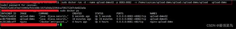 docker部署springboot项目文件上传路径 docker保存上传的图片路径 csdn博客