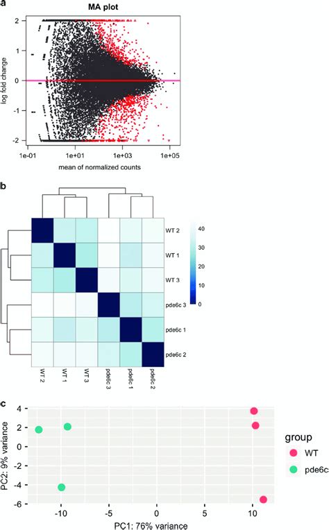 rna seq plot