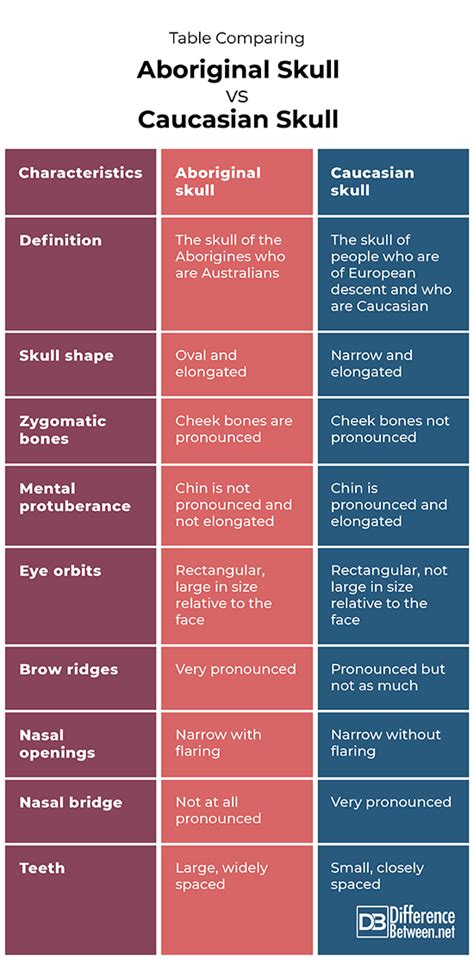 Difference Between Aboriginal Skull And Caucasian Skull Difference