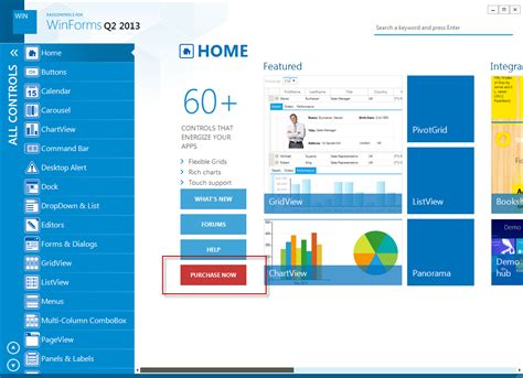 Distinguishing Between Versions Dev Trial Telerik Ui For Winforms