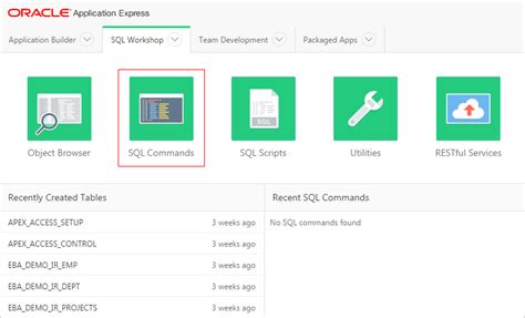 how to create a table and set scale in oracle apex sql castleascse
