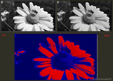 opencv 基于傅里叶变换的图片高光滤波处理 opencv 快速傅里叶变换滤波 c csdn博客