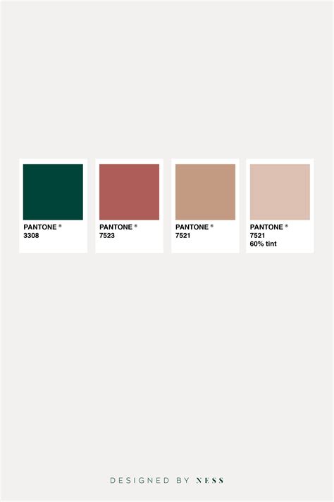 Pantone Color Scheme Color Chart Illustrator PDF Atelier Yuwa Ciao Jp