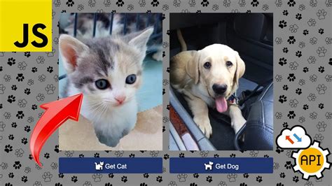 Learn How To Use The JavaScript Fetch API With An Easy Example