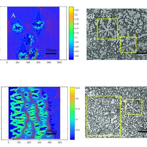 phase field simulation results and microstructure comparison of download scientific diagram