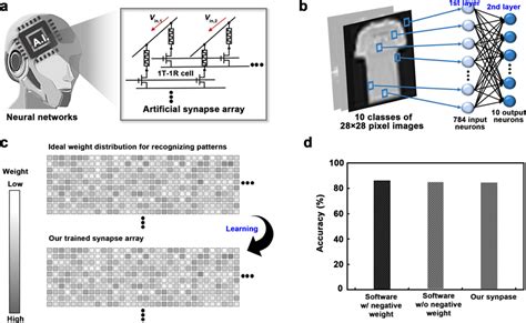 pattern recognition in neural networks based on the developed synapse download scientific