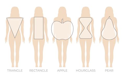 Female Body Types Chart Complete Guide On Women Body Types Salameh Plastic Surgery Center