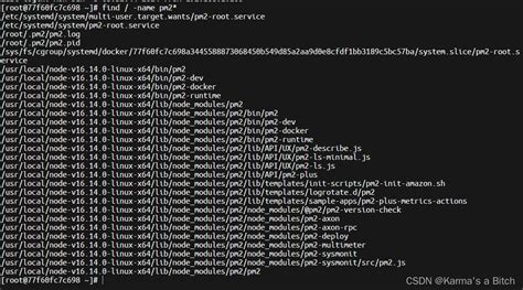 linux系统设置nodejs应用自动启动 pm2 启动 csdn博客