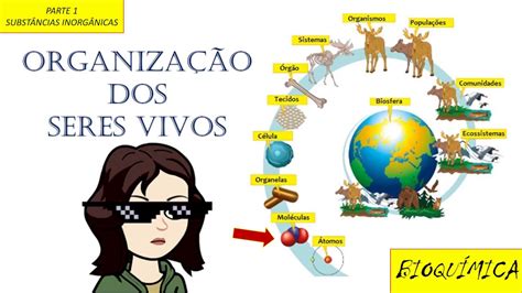 Mapa Mental Niveis De Organização Dos Seres Vivos FDPLEARN
