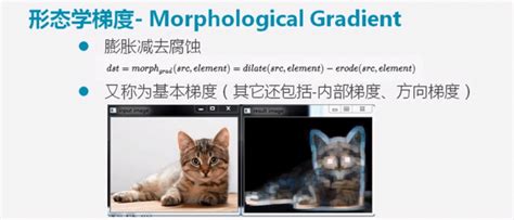形态学基本操作 形态学操作 csdn博客