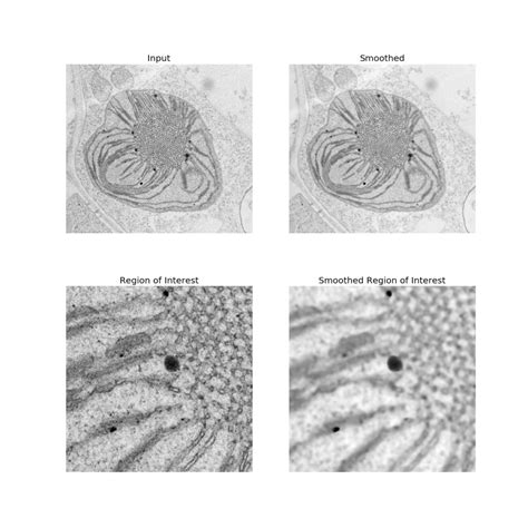 Edge Preserving Image Smoothing In Python