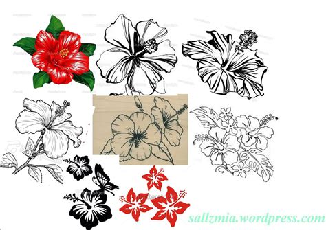 Olahan Idea Bunga Raya Bunga Ideas Stencil Patterns Flower Drawing Hot Sex Picture