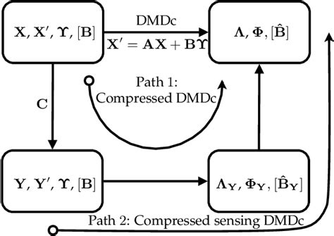 figure 2 from dynamic mode decomposition for compressive system identiﬁcation semantic scholar