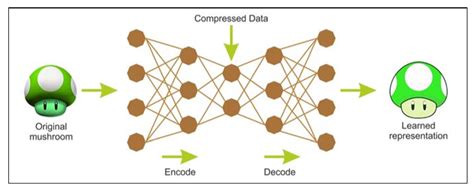 Python 11 Tensorflow Autoencoder