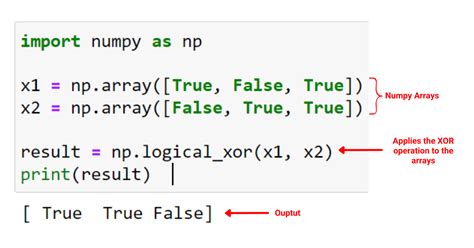 Python XOR Operator User Guide Master Data Skills AI