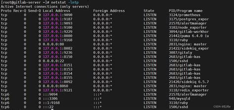 gitlab安装与使用（centos7 9） csdn博客