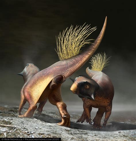 This Fossilized Butthole Gives Us A Rare Window Into Dinosaur Sex