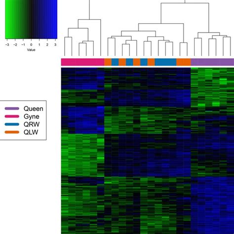 Heatmap Showing The Scaled Mean 0 Sd 1 Log2 Expression Values